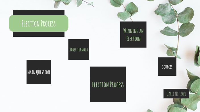 Election Process Infographic by Carli Nielson on Prezi