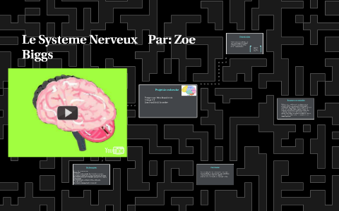 Le Systeme Nerveux by Zoe Biggs