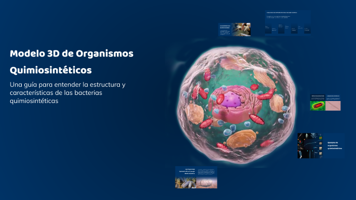 Modelo 3D de Organismos Quimiosintéticos by Jesus Antonio on Prezi