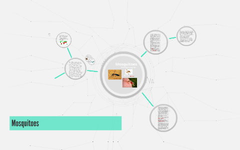 Mosquitoes by Eric Faler on Prezi