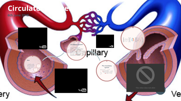 Circulatory system by Harvey Buckle on Prezi