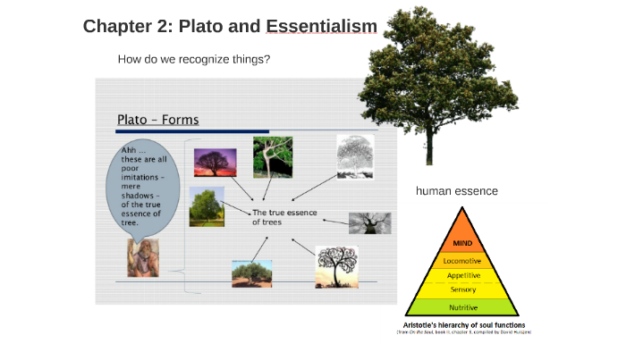 Chapter 2: Plato and Essentialism by Wilson Kaiser on Prezi