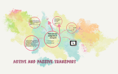 Active And Passive Transport by daniella Gelbstein on Prezi