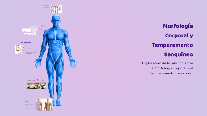 Morfología Corporal y Temperamento Sanguíneo by shan castillo on Prezi