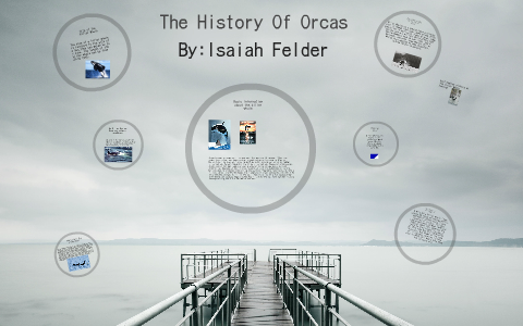 The history Of Orcas by isaiah felder on Prezi