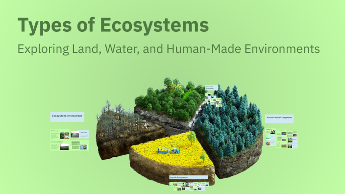 Types of Ecosystems by DAYLE JAMES GORDONCILLO on Prezi