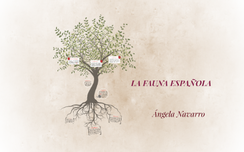 la fauna española by Angela Navarro on Prezi