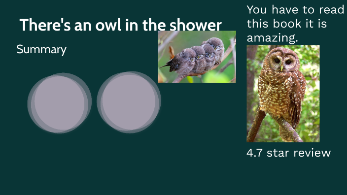 owl in the shower by lorelei bennett on Prezi