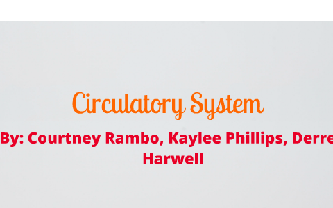 Circulatory System by Courtney Rambo