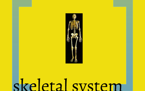 skeletal system by Jackson Deibert on Prezi