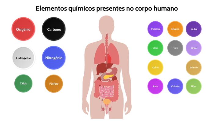 Elementos Químicos do Corpo Humano by Vicente Santos on Prezi