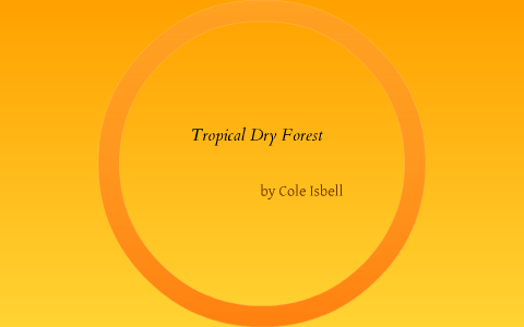 Tropical Dry Forest by Cole Isbell on Prezi