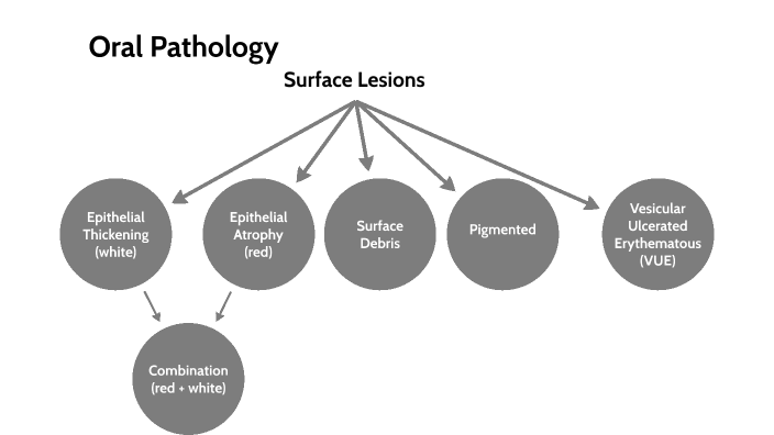 Oral Pathology by Emma Thayer on Prezi