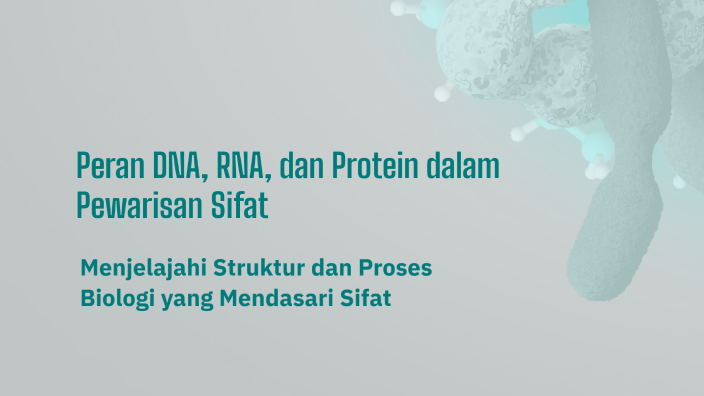 Peran DNA, RNA, dan Protein dalam Pewarisan Sifat by Indy Dwi ...