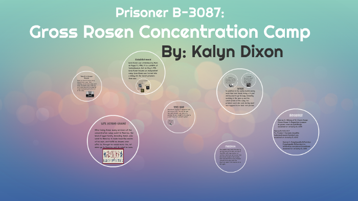 Prisoner 3087 - Gross Rosen by Kalyn Dixon on Prezi