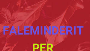 Faleminderit per vemendjen by aleksandra dervishi on Prezi Design