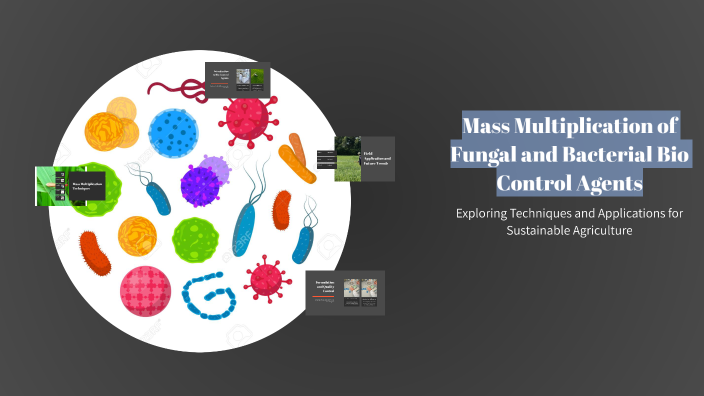 Mass Multiplication Of Fungal And Bacterial Bio Control Agents By Masked Blueeye On Prezi