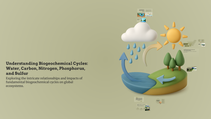 Understanding Biogeochemical Cycles: Water, Carbon, Nitrogen ...