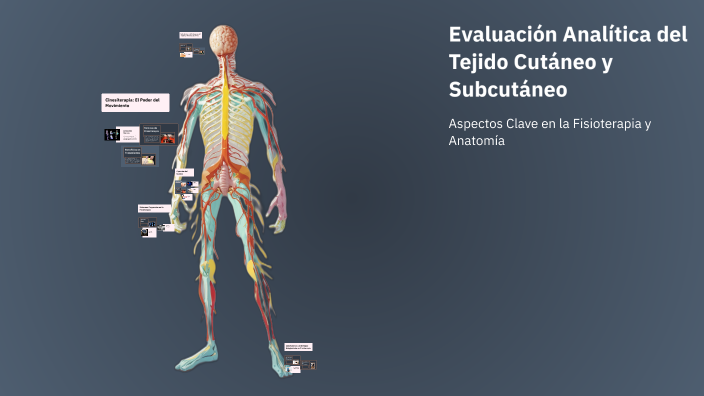 Evaluación Analítica del Tejido Cutáneo y Subcutáneo by Alberto Oliver ...