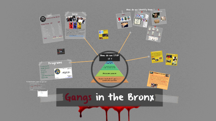 Gangs in the Bronx by Marilex Santana on Prezi