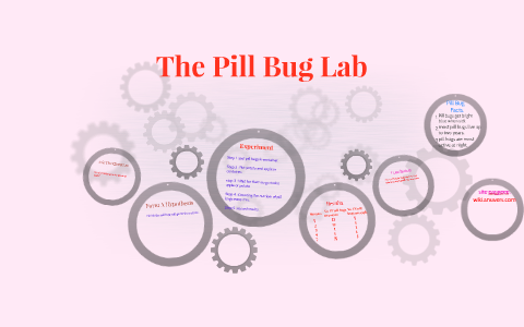 The Pill Bug Lab by Alicia Lira on Prezi