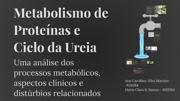 Metabolismo de Proteínas e Ciclo da Ureia by Ana Carolliny Silva ...