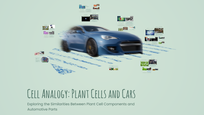 Cell Analogy: Plant Cells and Cars by Brayden Donnelly on Prezi
