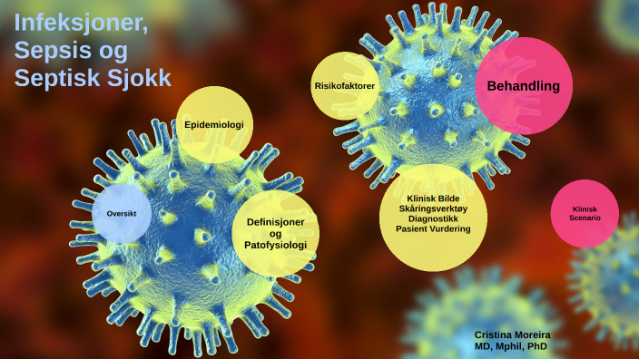Infeksjoner, Sepsis og Septisk Sjokk_2026 by Nayla Cristina do Vale ...