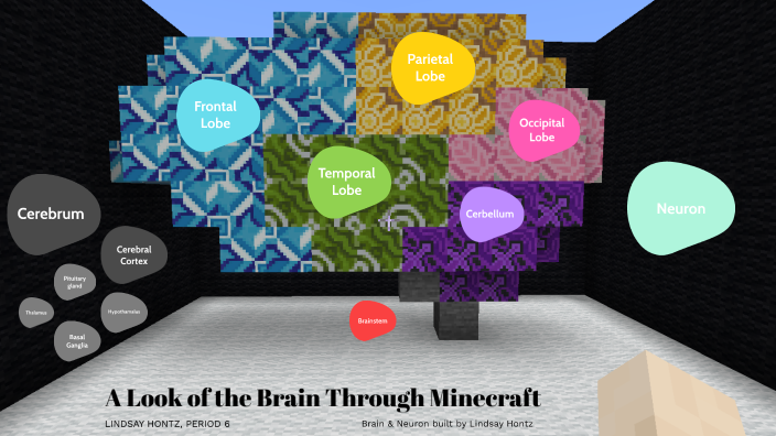 A Look of the Brain Through Minecraft by Lindsay Hontz on Prezi