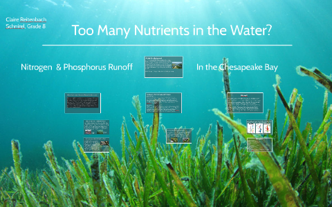 Too Many Nutrients in the Water? by Claire Reitenbach on Prezi