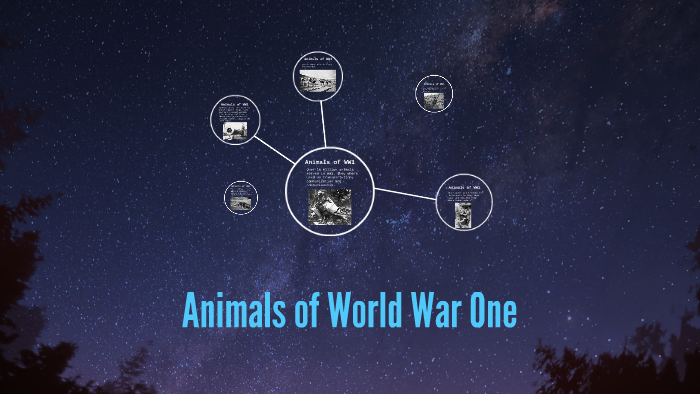 Animals of World War One by hastings munsey on Prezi