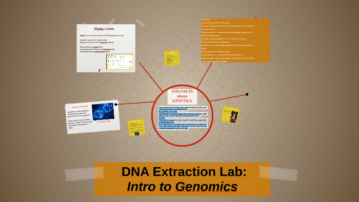 Fruit DNA Extraction Lab: Intro to Genomics by Frieda Sanders