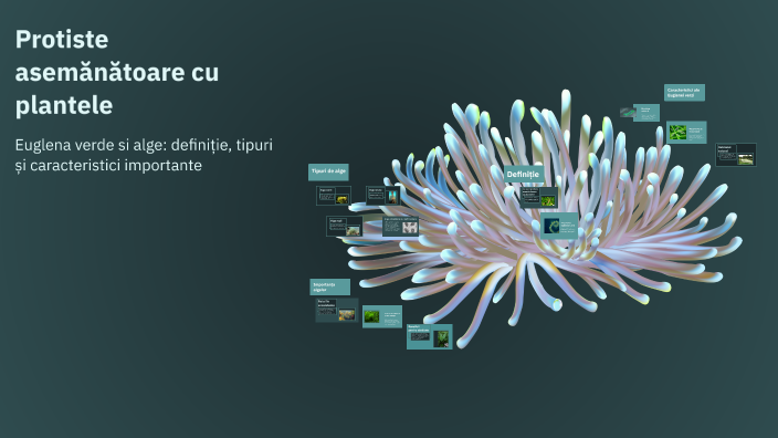Protiste asemănătoare cu plantele by Andra Gabriela Codreanu on Prezi
