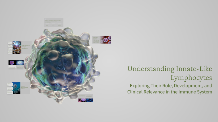 Understanding Innate-Like Lymphocytes by Maha Goran on Prezi