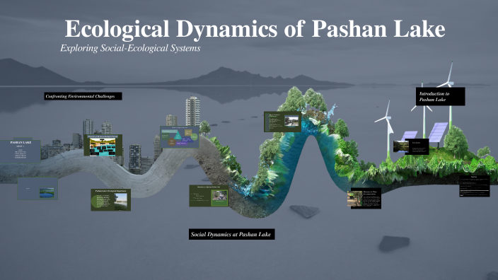 Ecological Dynamics of Pashan Lake by Sritha Bhimaraju on Prezi