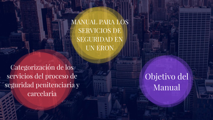 Manual para los servicios de seguridad en los Eron by Sebastian Aguirre ...