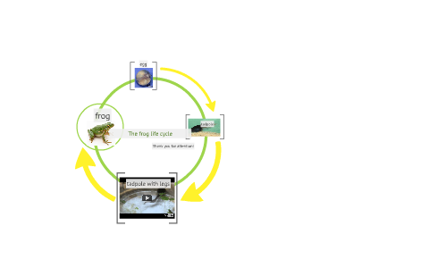 The dragon life cycle by Gavkhar Aripova on Prezi