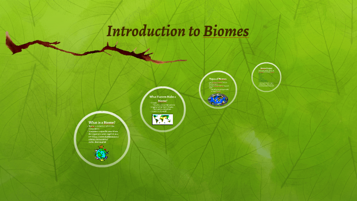 Introduction to Biomes by Colleen Mueller