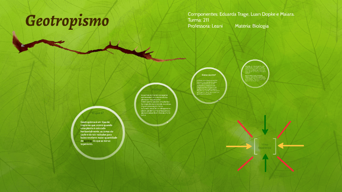 Geotropismo by Maiara da Motta