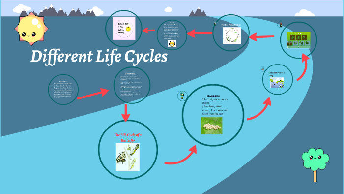 Different Life Cycles by Christiania Burton
