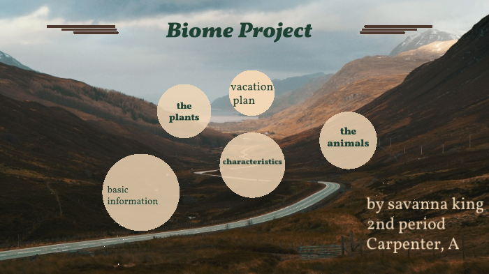 african savanna biome project by Savanna King on Prezi