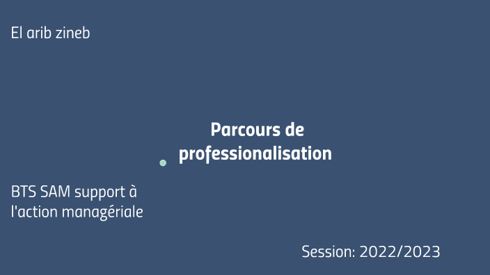 Parcours de professionalisation by zineb El arib on Prezi