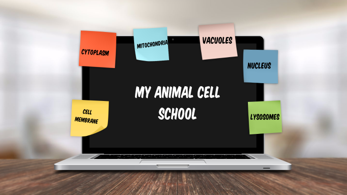 My Animal Cell School by Addison Carwile on Prezi