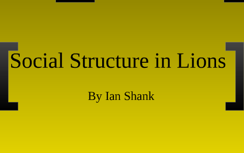 Lion Pride Structure by Ian Shank on Prezi