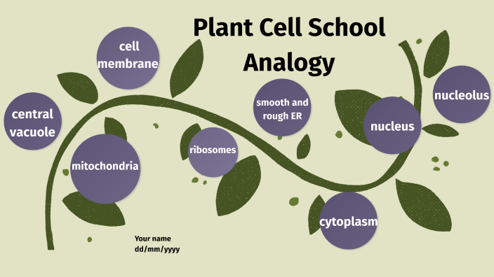 Cell School Analogy by delaney hanna on Prezi