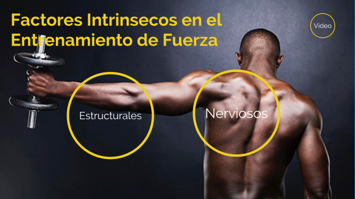 Factores Intrinsecos en el Entrenamiento de Fuerza by Eduardo Manuel ...