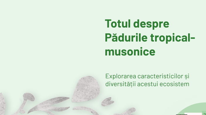 Totul despre Pădurile tropical-musonice by Yamil Angura on Prezi