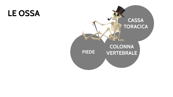 LE OSSA by Marco D'errico on Prezi