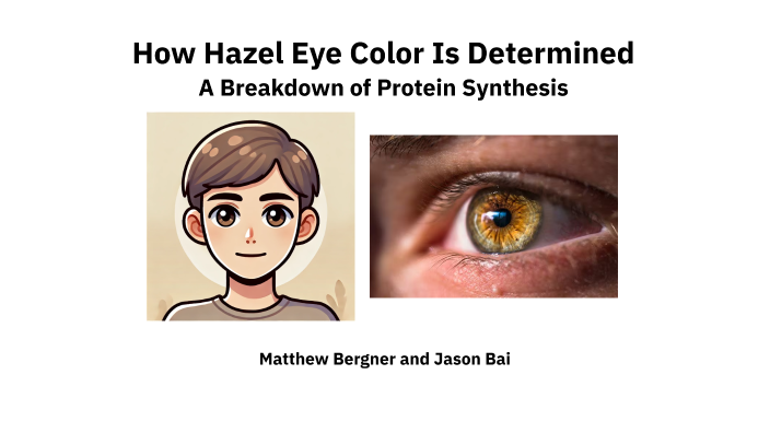 H. Bio. DNA Project by Matthew Bergner on Prezi