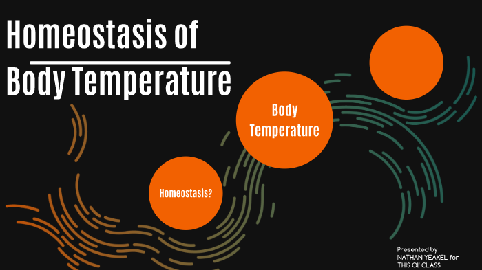 Homeostasis of Body Temperature by Nathan Yeakel on Prezi